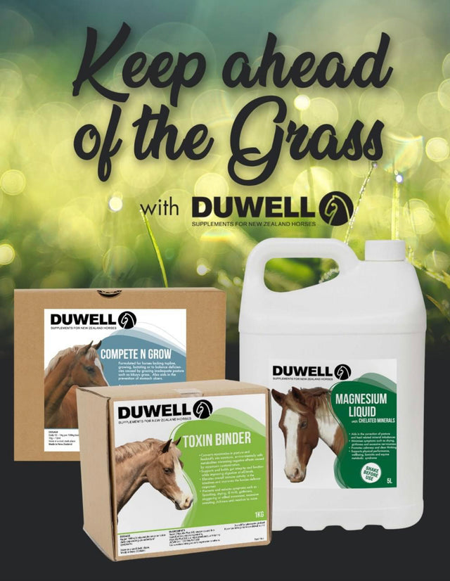 Duwell Supplements – Duwell NZ