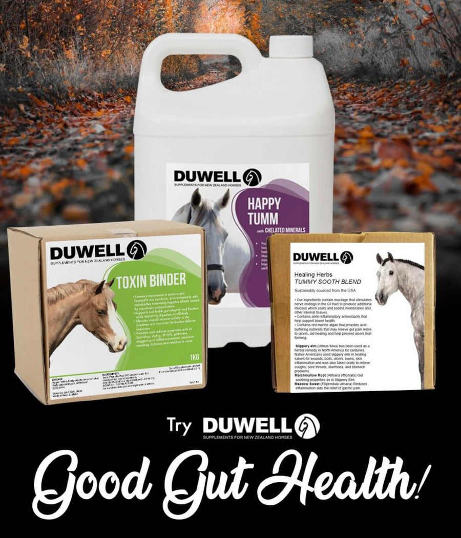 Duwell Supplements – Duwell NZ