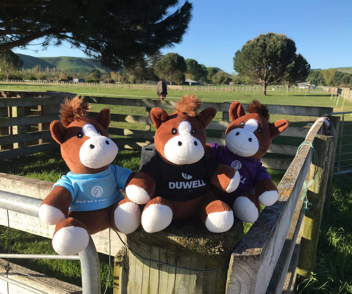 Duwell Teddy's – Duwell NZ
